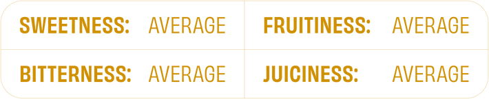 Beers – Tout Bien Pils